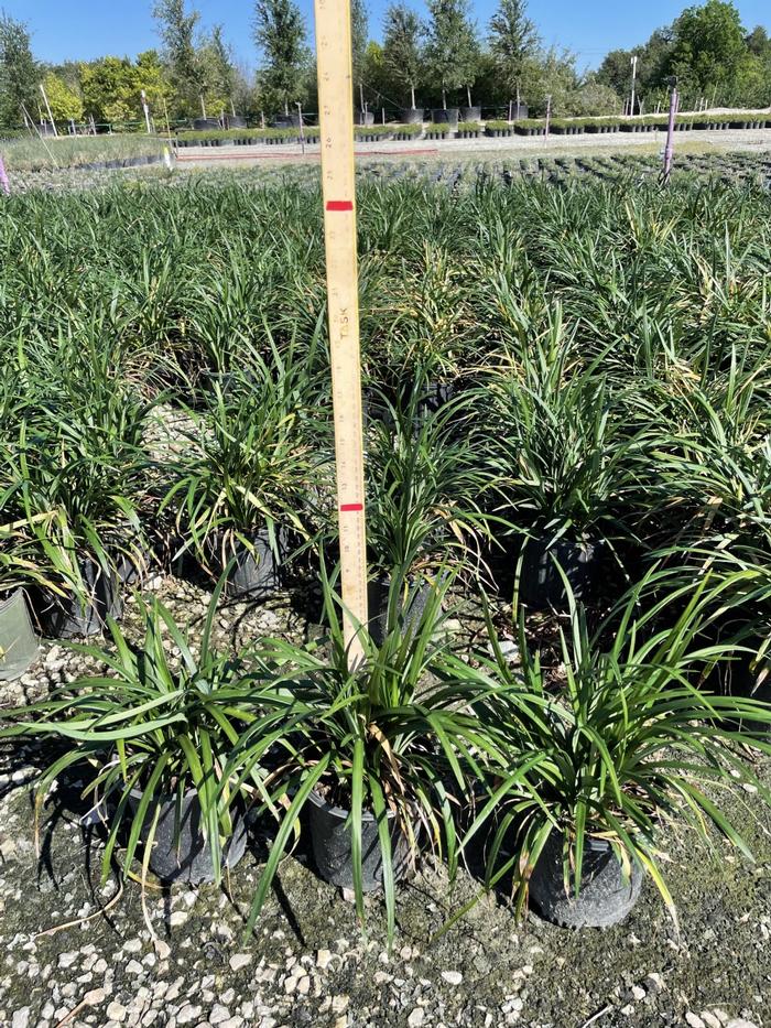 View Current Crop Photo